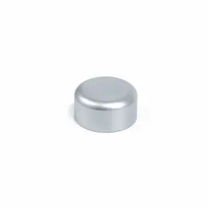 5/8” DIA. SIGN SCREW CAP w/ROUND EDGE – BRASS w/SATIN CHROME