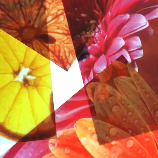 Backlit Graphics / Photographic Quality Prints on Translucent Backlit ...